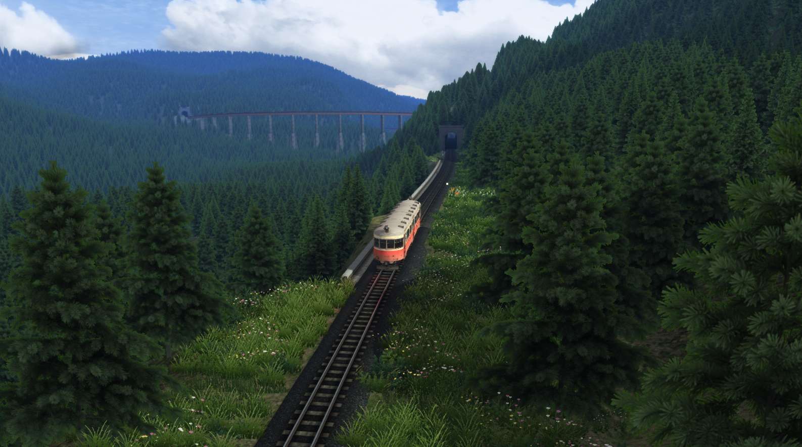 Just Trains - The Story of Forest Rail