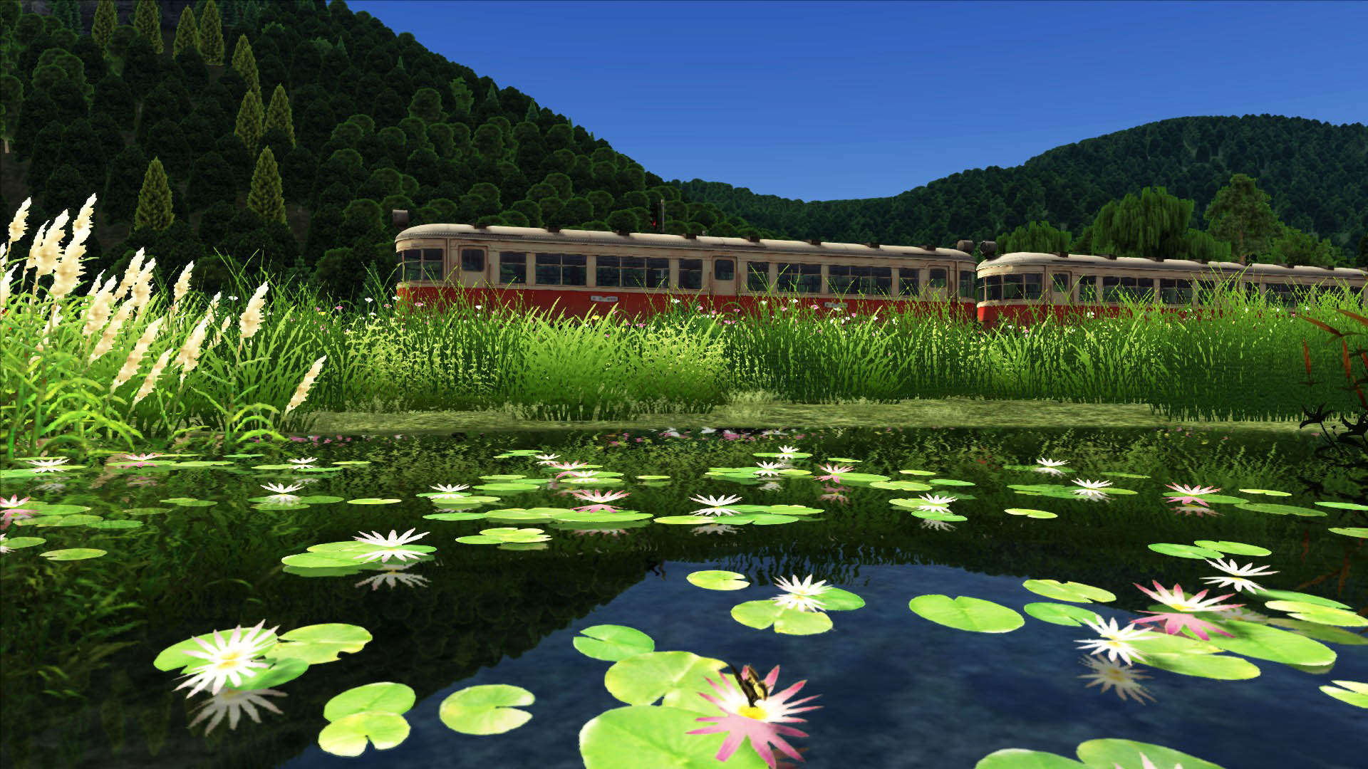 Just Trains - The Story of Forest Rail