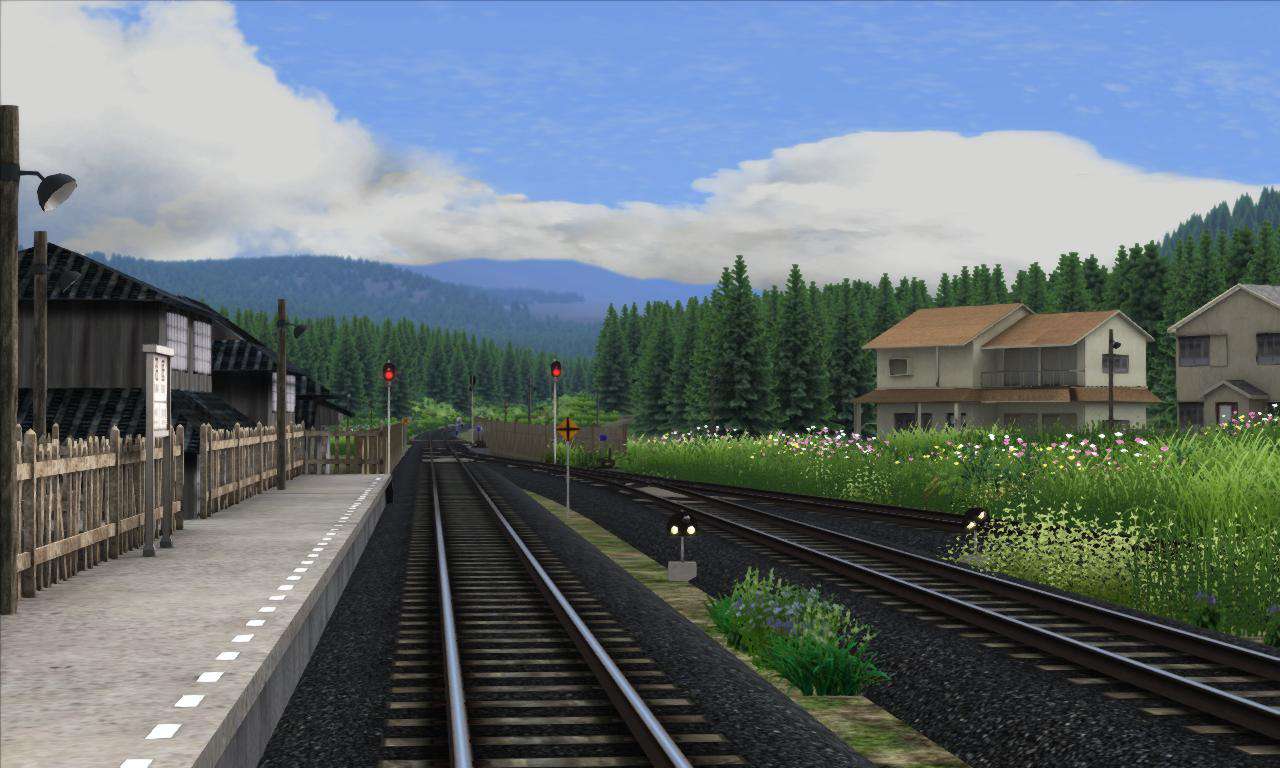 Just Trains - The Story of Forest Rail